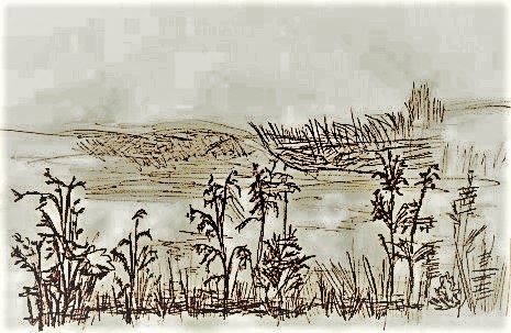 Mercy (poem) | Torsade Literary Space